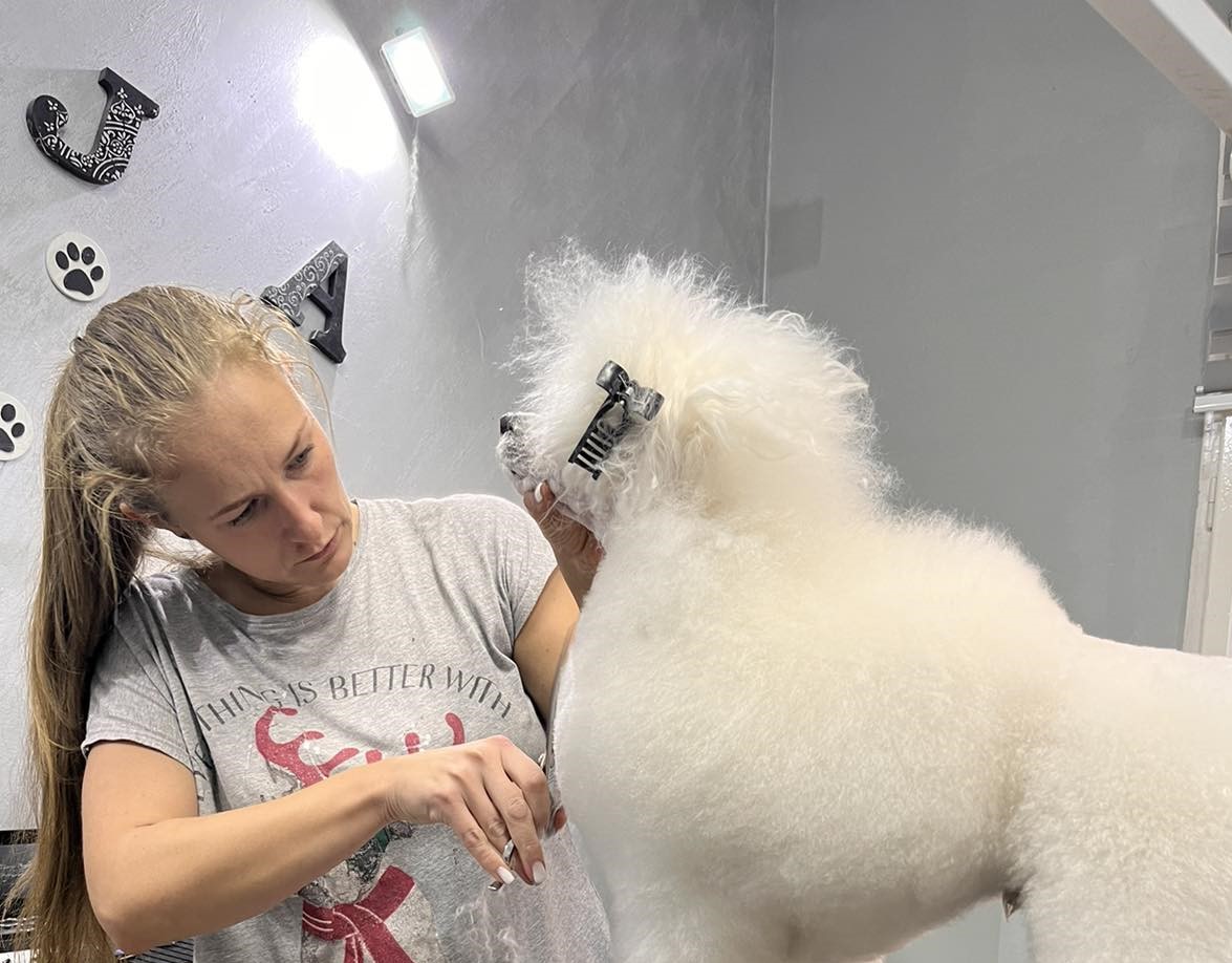 Nega kućnih ljubimaca, posao koji cveta - Poslovi Infostud