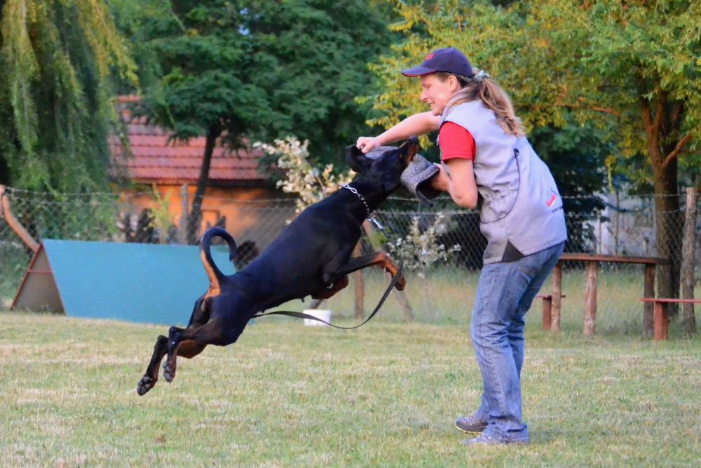 Silvija Kovač se već 3 decenije bavi dresurom: Kroz ovaj posao vidiš ...